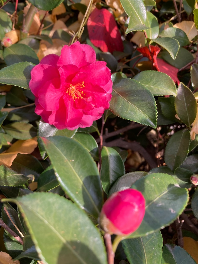 2023.12.9(土) - リュックサック日誌