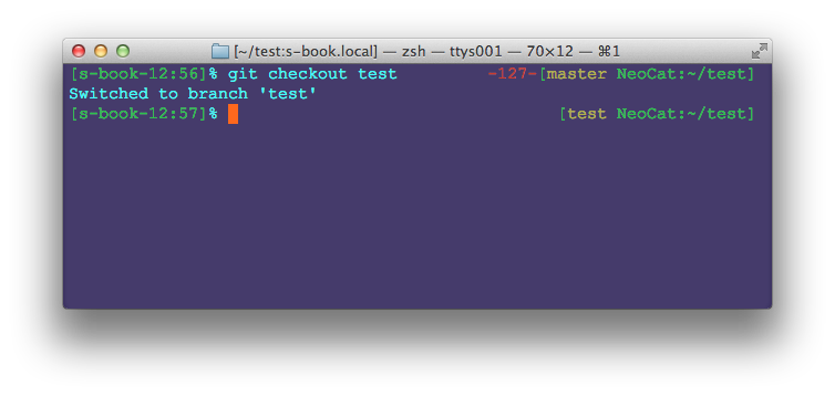 zshで右プロンプトにgitブランチ名を表示 - Okiraku Programming