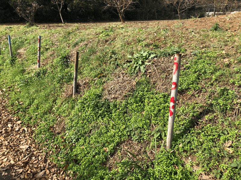 Noriyasu_Katano's blog