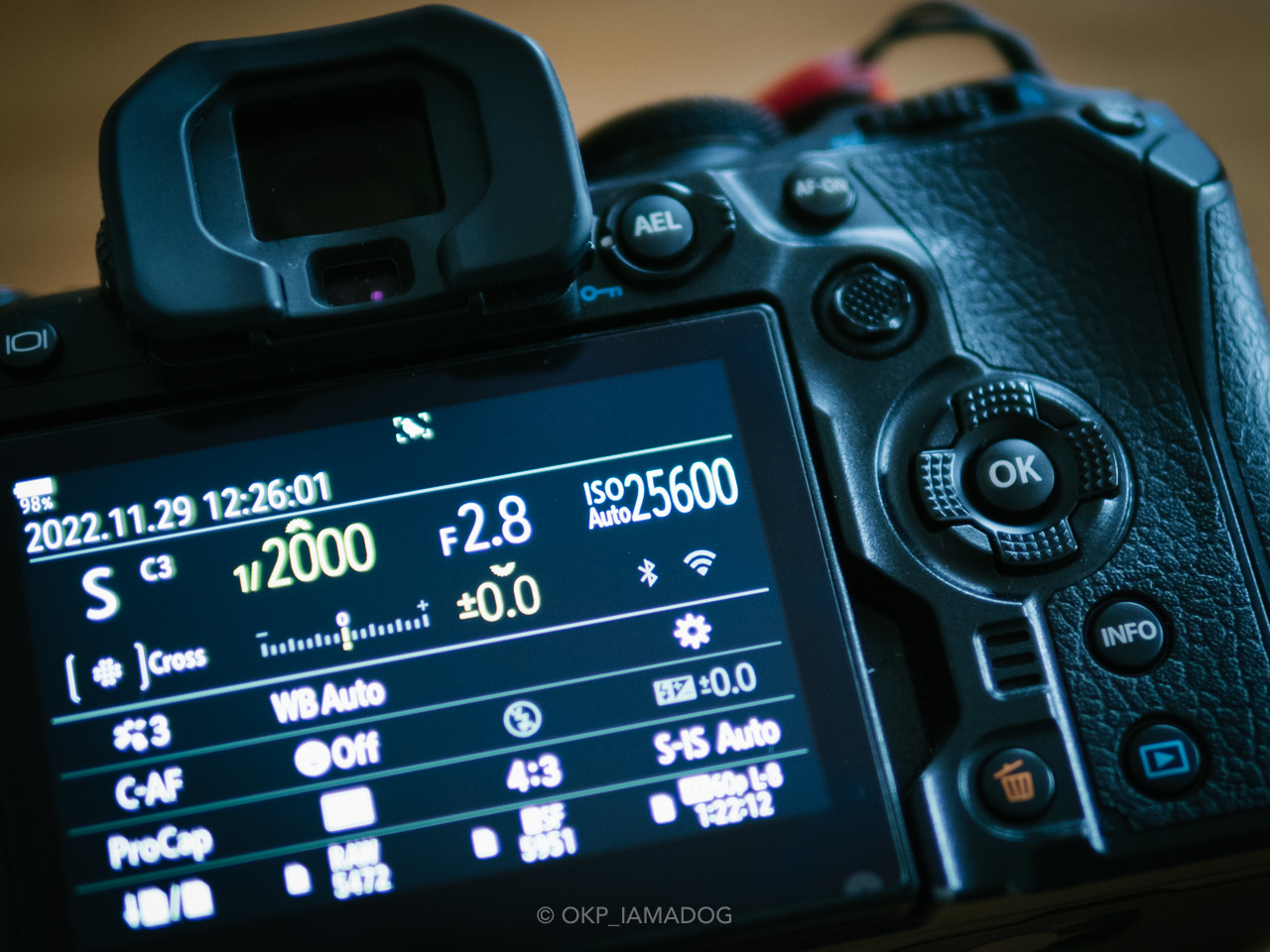 DxO PureRAW 2があるのでOM SYSTEM OM-1のISO高感度を積極的に使ってみた（ISO3200 - ISO25600） - I AM A DOG