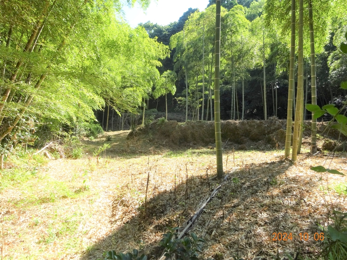 長刀坂古墳群 - OSAKA-TOM’s diary