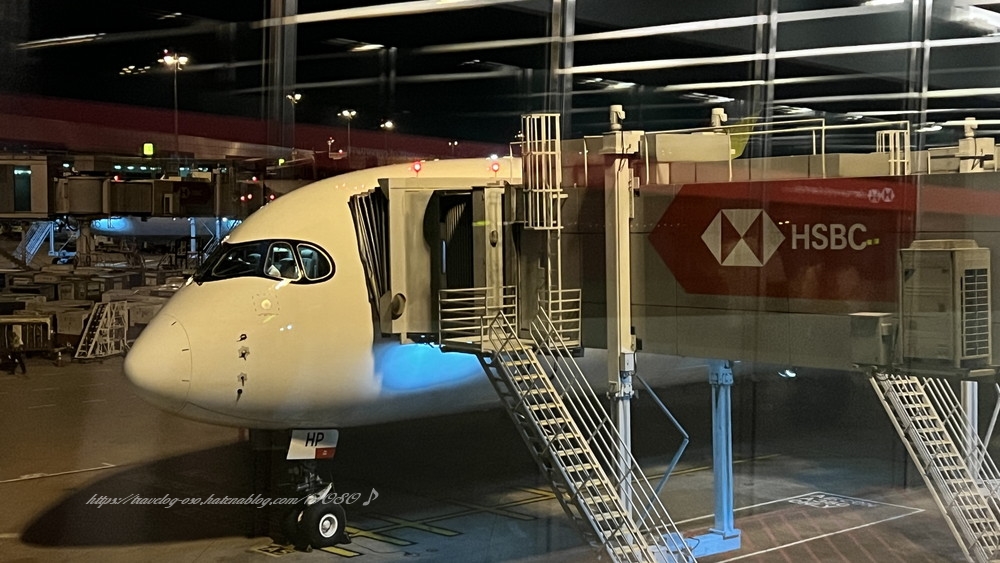 SQ438 SIN-MLE(ビジネスクラス)【2022-2023年末年始 モルディブ】 - OSO♪’s TRAVELOG