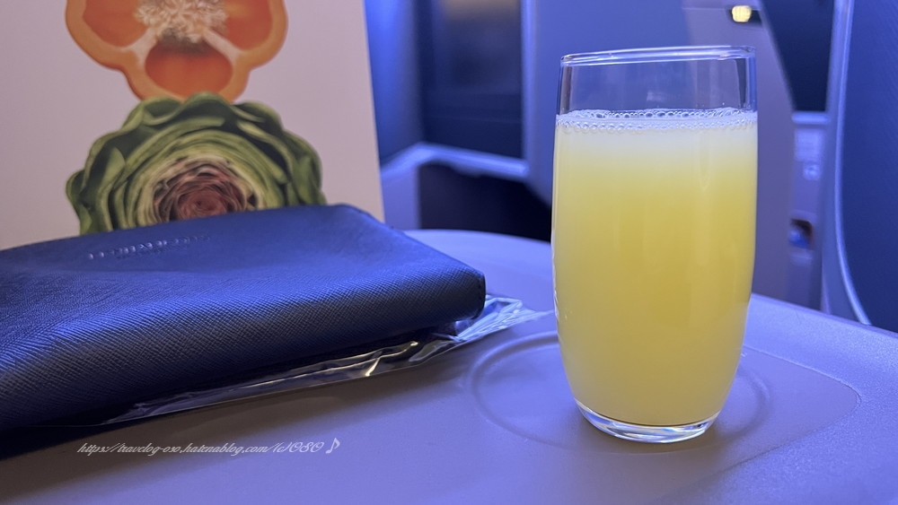 SQ438 SIN-MLE(ビジネスクラス)【2022-2023年末年始 モルディブ】 - OSO♪’s TRAVELOG