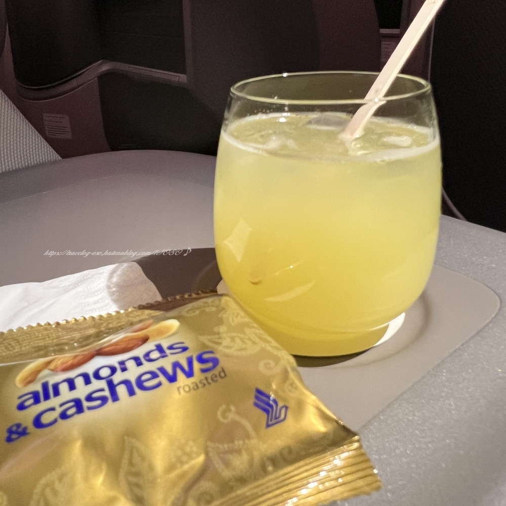 SQ438 SIN-MLE(ビジネスクラス)【2022-2023年末年始 モルディブ】 - OSO♪’s TRAVELOG