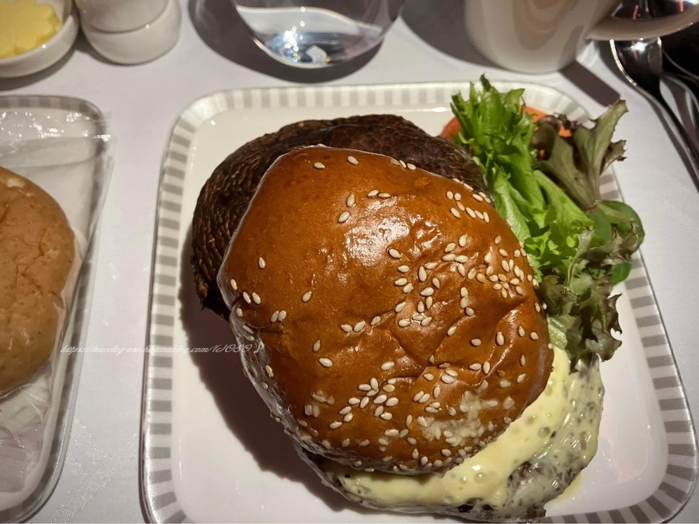 SQ438 SIN-MLE(ビジネスクラス)【2022-2023年末年始 モルディブ】 - OSO♪’s TRAVELOG