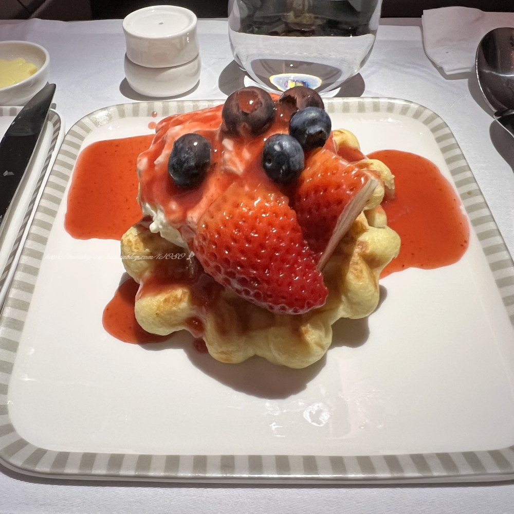 SQ438 SIN-MLE(ビジネスクラス)【2022-2023年末年始 モルディブ】 - OSO♪’s TRAVELOG