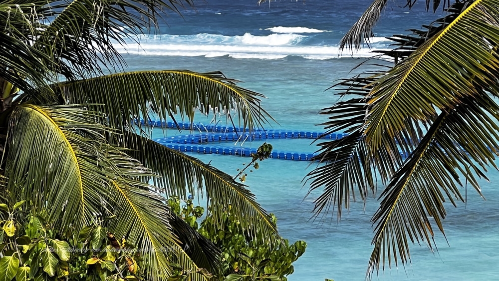 モルディブを去る日 , SQ437, SQ622【2022-2023年末年始 モルディブ】 - OSO♪’s TRAVELOG