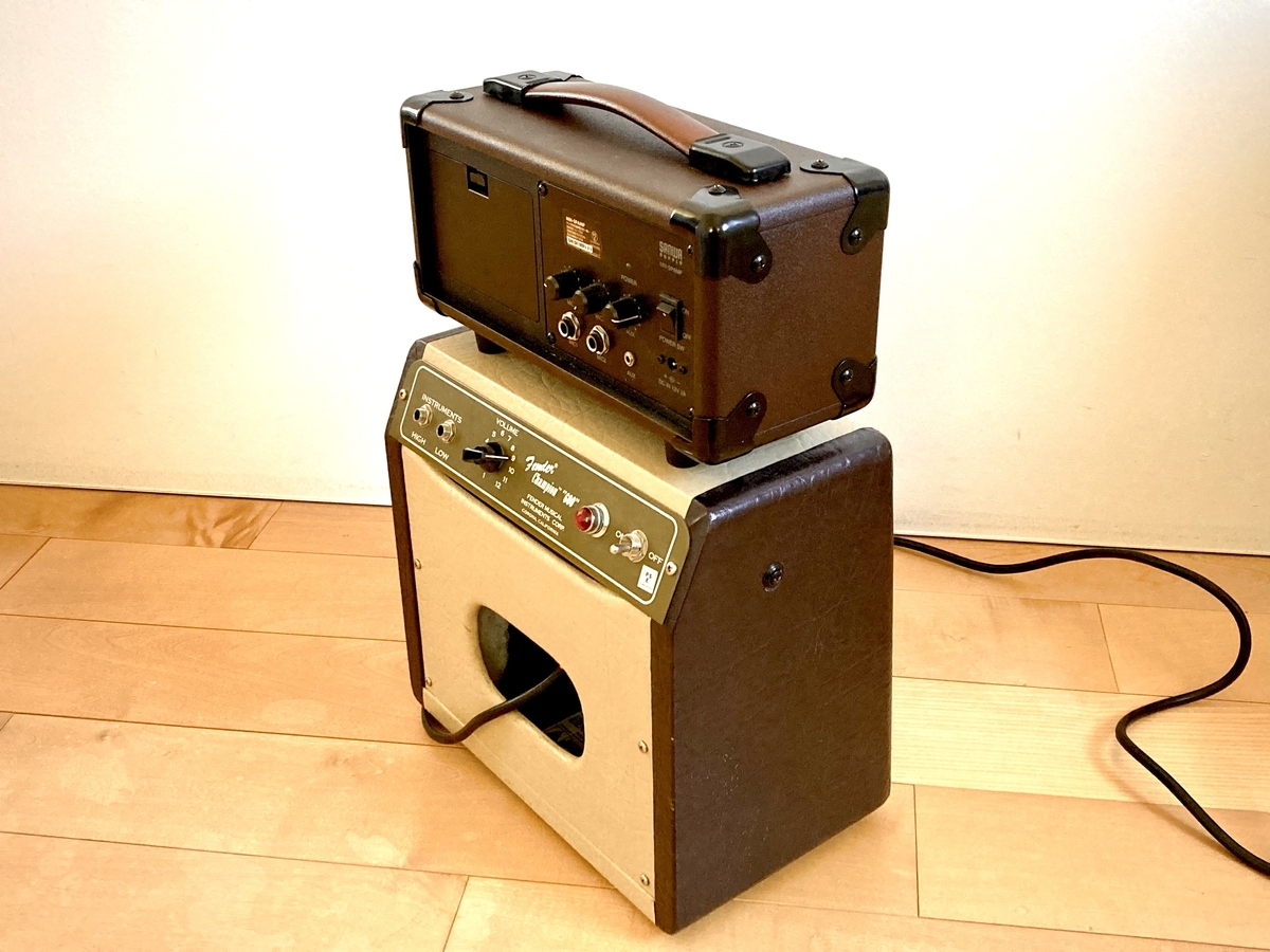 Fender Champion 600 Mod - Seek'N Hack