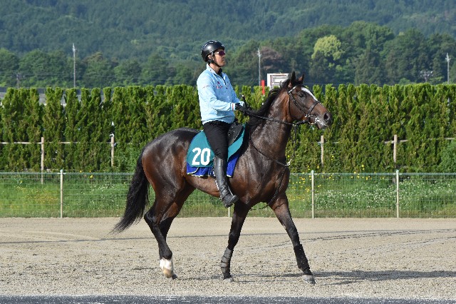 【POG】今年も参加します！日刊競馬POGは昨年に引き続き『 愛』で勝負！ - from1987