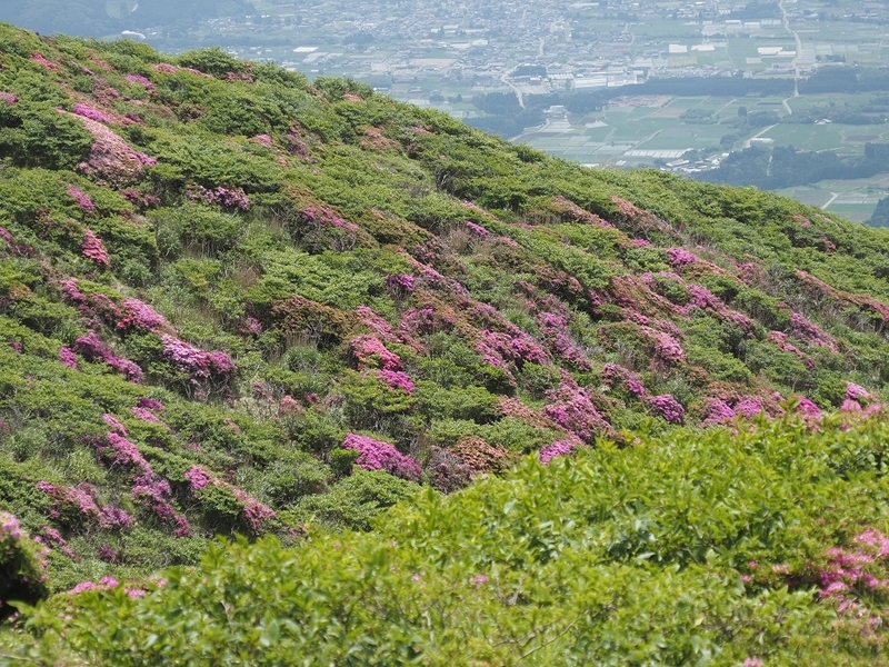 💖阿蘇山登山💖 - 花遊び 山遊び ブログ
