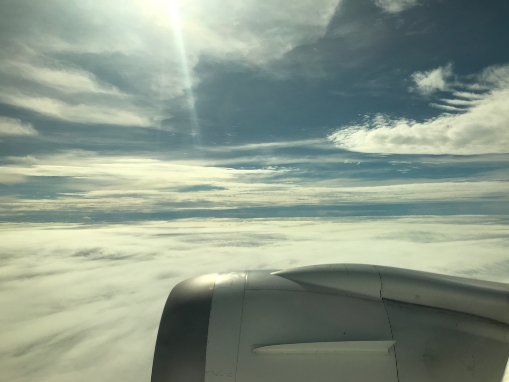 6日目：JAL JL750 ホーチミンシティ〜成田 ビジネス - Out of Office サラリーマン週末旅行記録