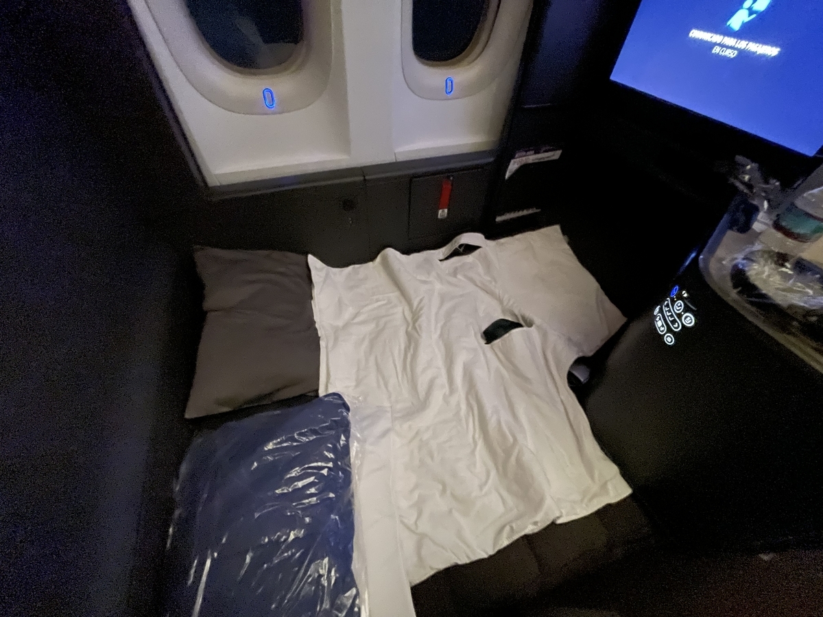 往路：ANA NH159 ニューヨーク(JFK)〜羽田 ビジネス - Out of Office サラリーマン週末旅行記録