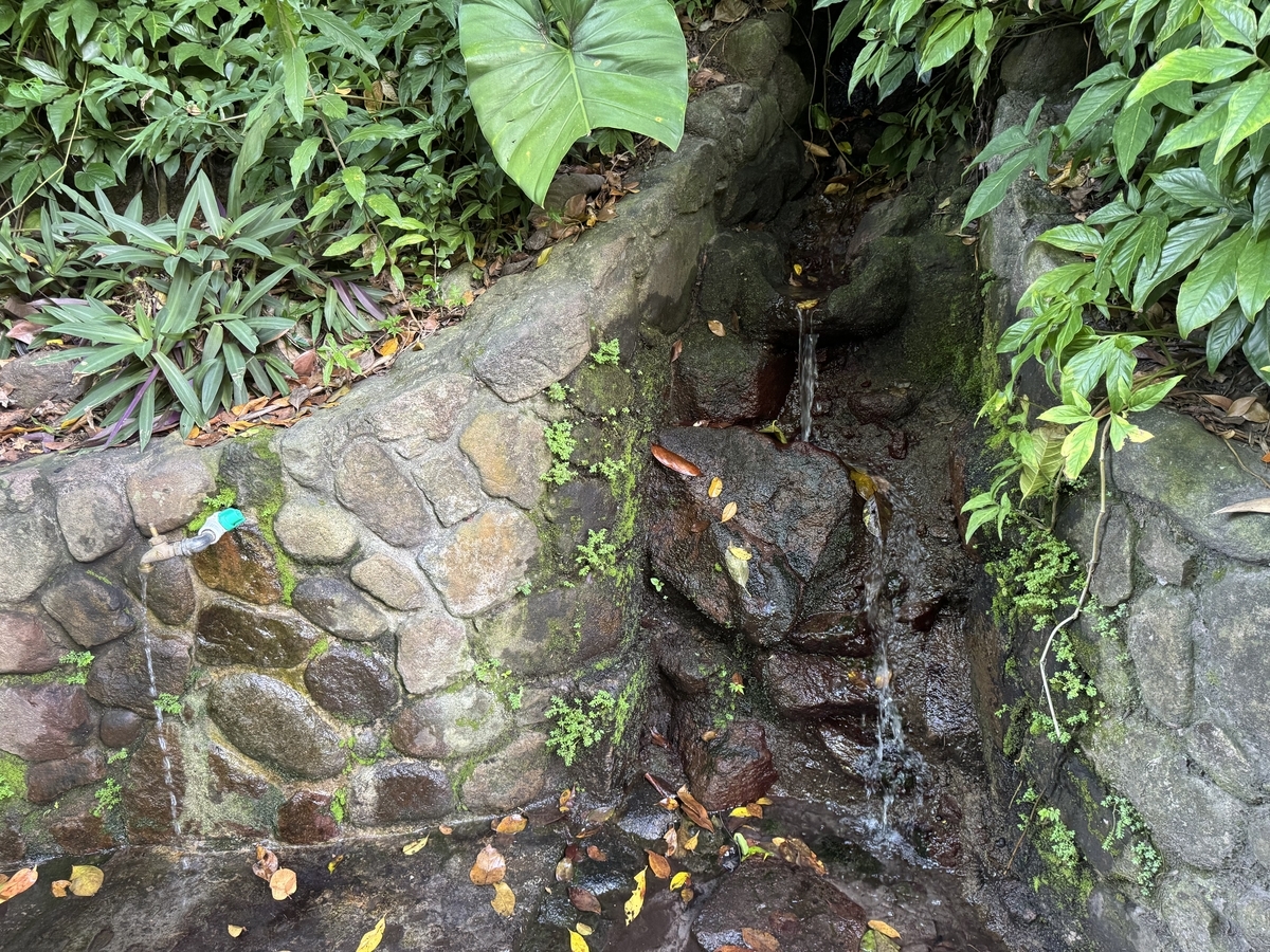 4日目：モンセラット観光（プリマス廃墟ツアー） - Out of Office サラリーマン週末旅行記録