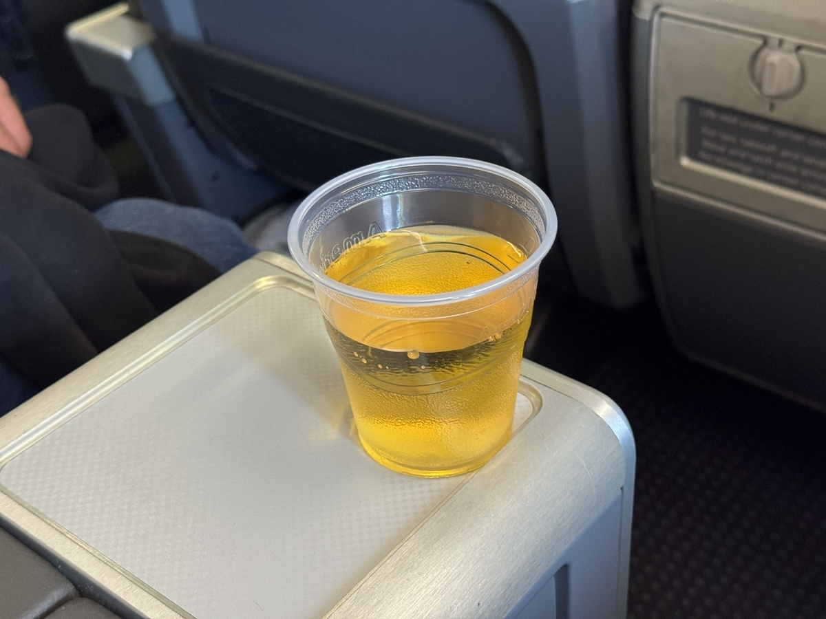 1日目：アメリカン航空 AA937 ダラス〜サンサルバドル ビジネス - Out of Office サラリーマン週末旅行記録