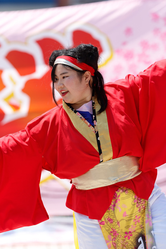 個別「20170822101600」の写真、画像 - Hatena Blog - PageTAKA fotolife https://pagetaka.hatenablog.jp/