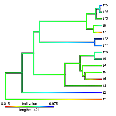 phytools : contMap - 月にも浪にも放れない