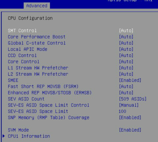 Running Confidential VM with AMD SEV-SNP - 外部記憶装置