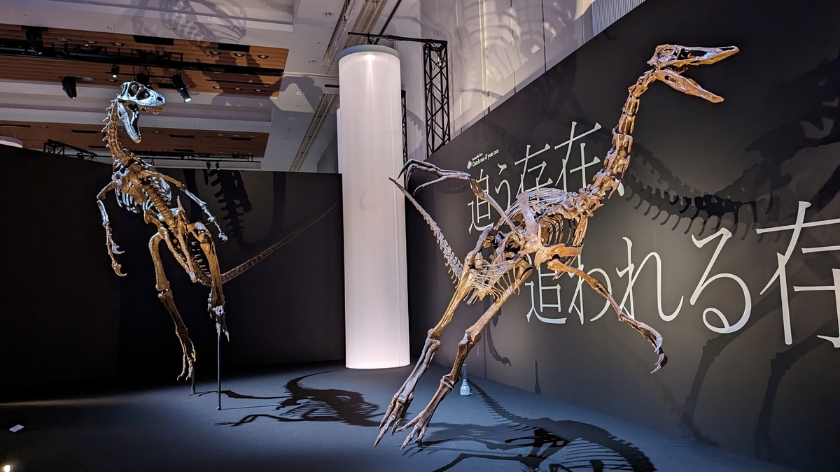 【古生物イベント】DinoScience 恐竜科学博 2023＠TOKYO MIDTOWN(東京ミッドタウン) - Prehistoriclifemanの日記