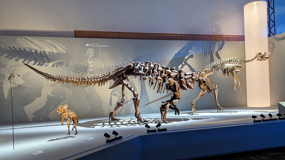 【古生物イベント】DinoScience 恐竜科学博 2023＠TOKYO MIDTOWN(東京ミッドタウン) - Prehistoriclifemanの日記