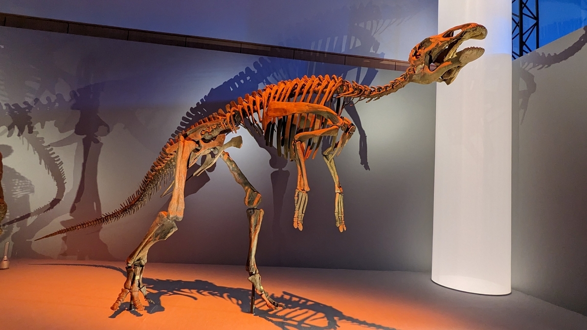 【古生物イベント】DinoScience 恐竜科学博 2023＠TOKYO MIDTOWN(東京ミッドタウン) - Prehistoriclifemanの日記