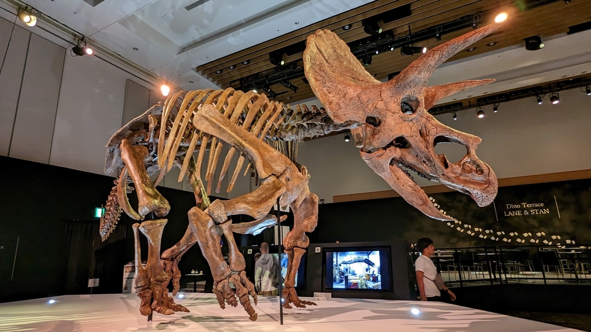 【古生物イベント】DinoScience 恐竜科学博 2023＠TOKYO MIDTOWN(東京ミッドタウン) - Prehistoriclifemanの日記