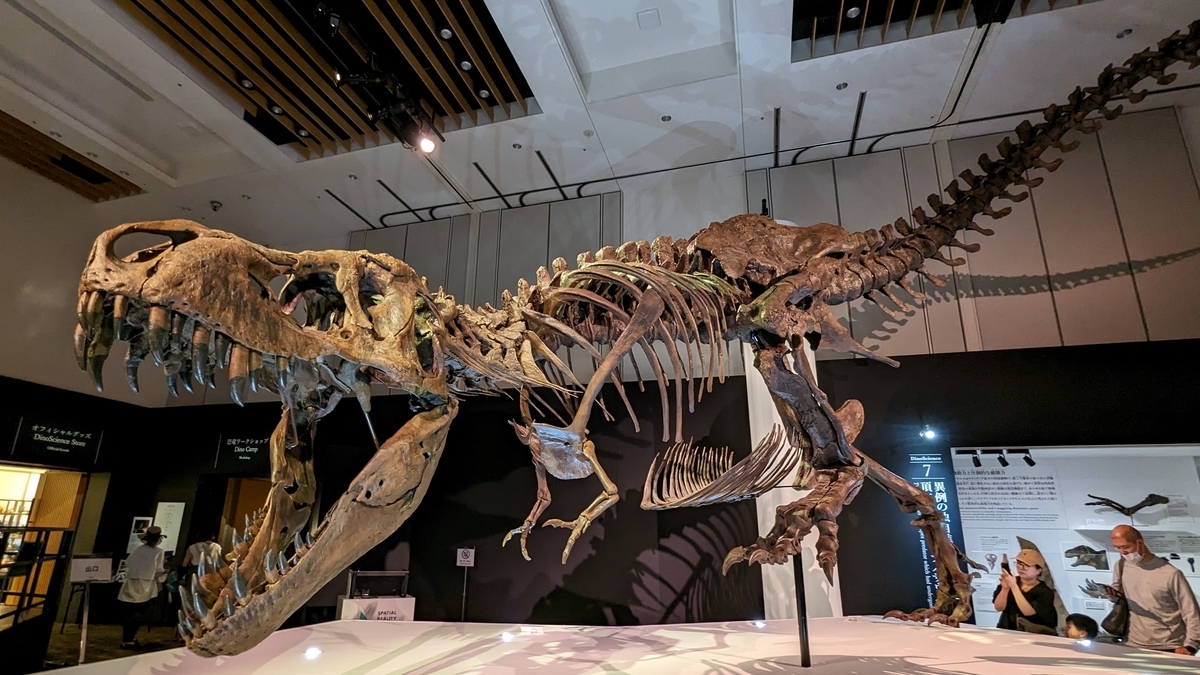 【古生物イベント】DinoScience 恐竜科学博 2023＠TOKYO MIDTOWN(東京ミッドタウン) - Prehistoriclifemanの日記