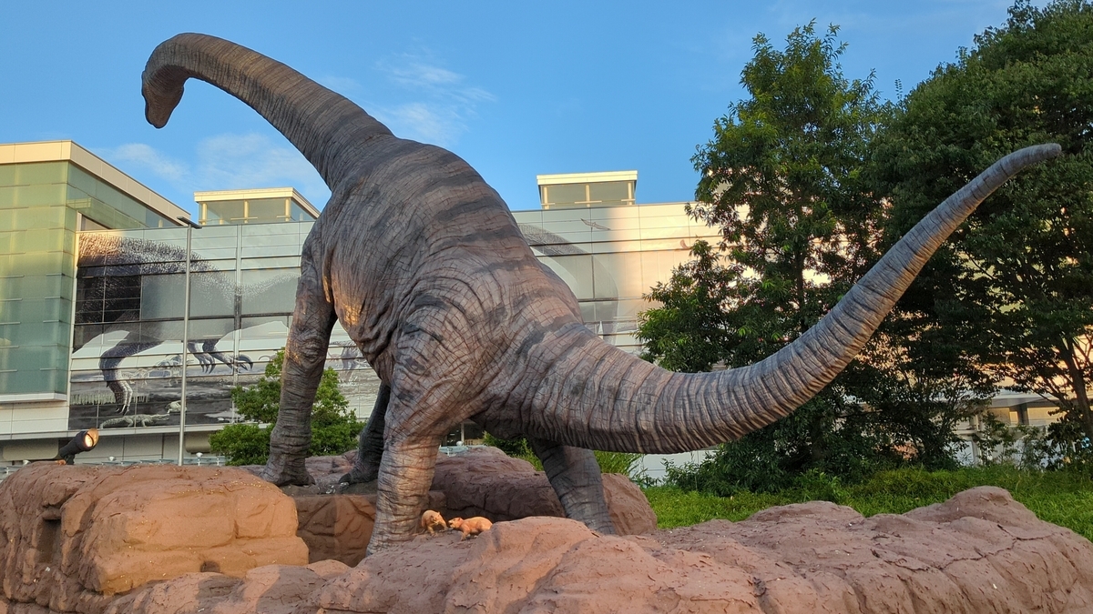 【古生物紹介】フクイティタン(Fukuititan) - Prehistoriclifemanの日記