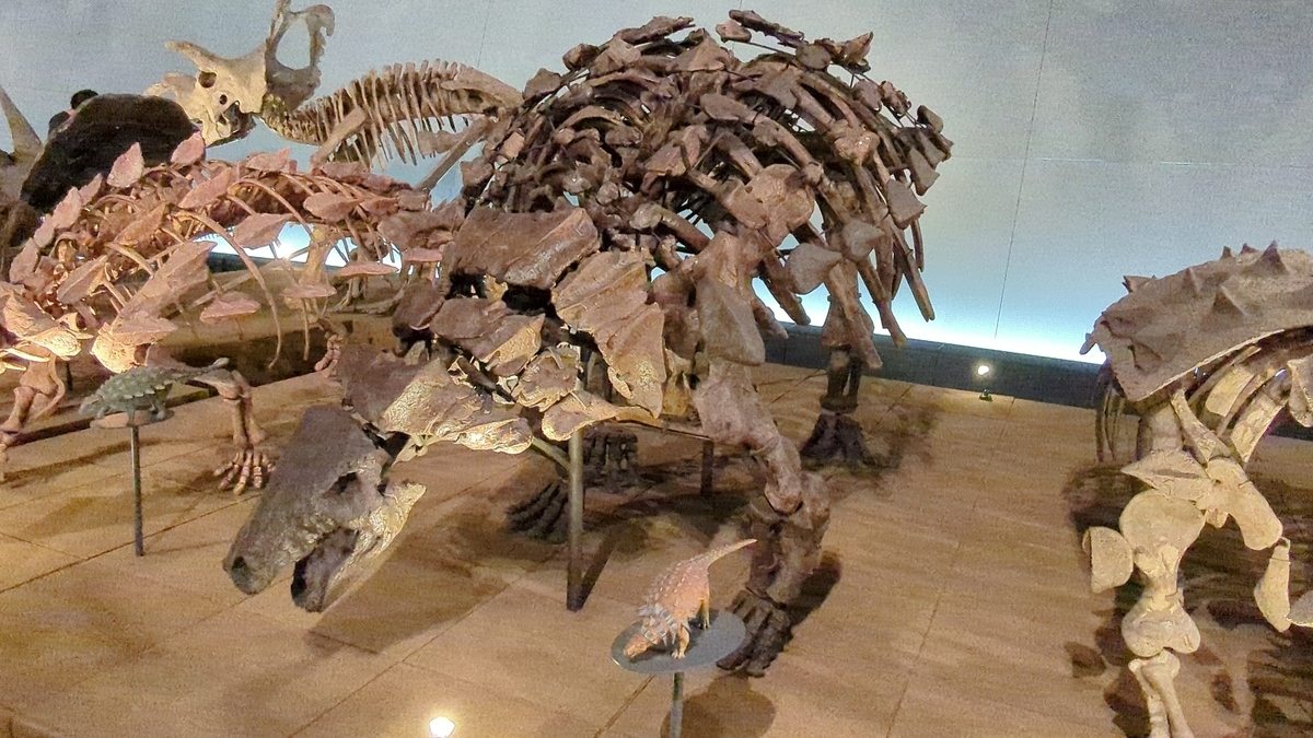 【古生物紹介】デンバーサウルス(Denversaurus) - Prehistoriclifemanの日記