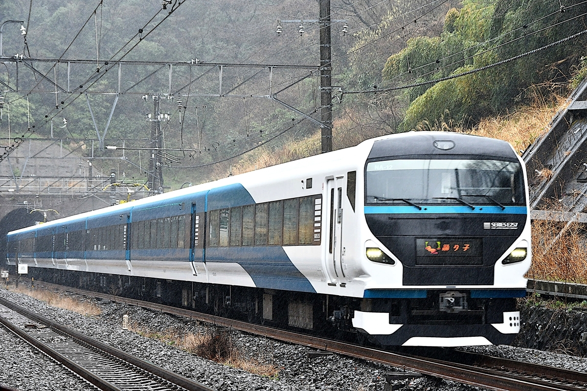 「踊り子」E257系置き換え完了、E257系2500番台、営業運転開始。 - レヱル・ガァデン