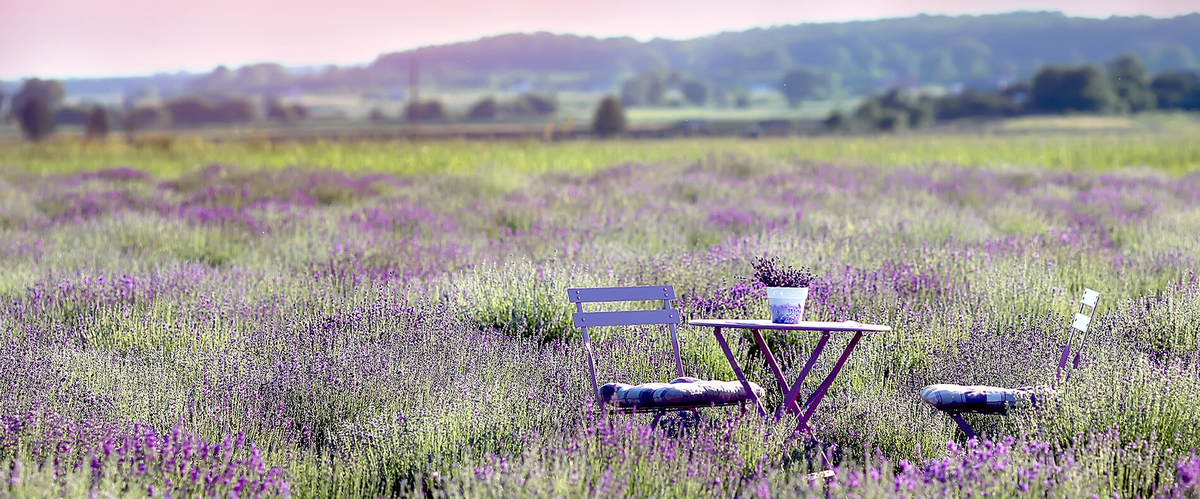 doTERRA のポイント - PVとは - 生活を豊かに