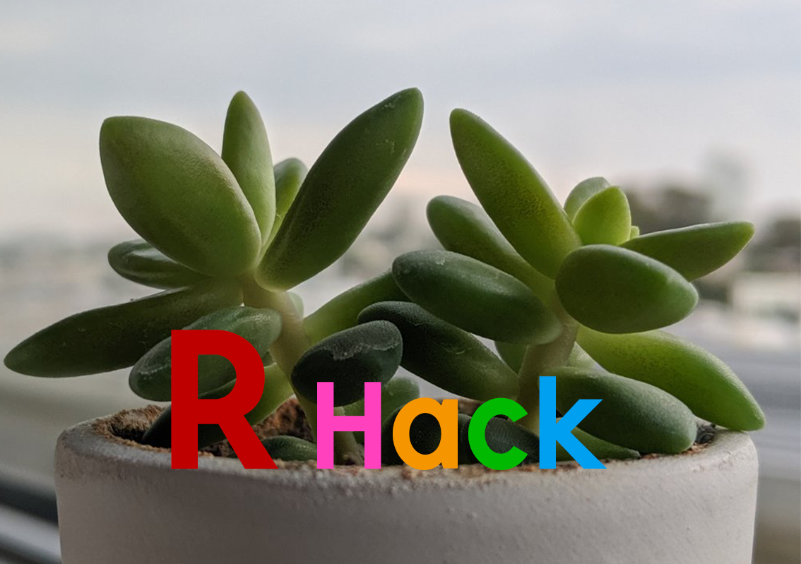 R-Hack始動 - R-Hack（楽天グループ株式会社）