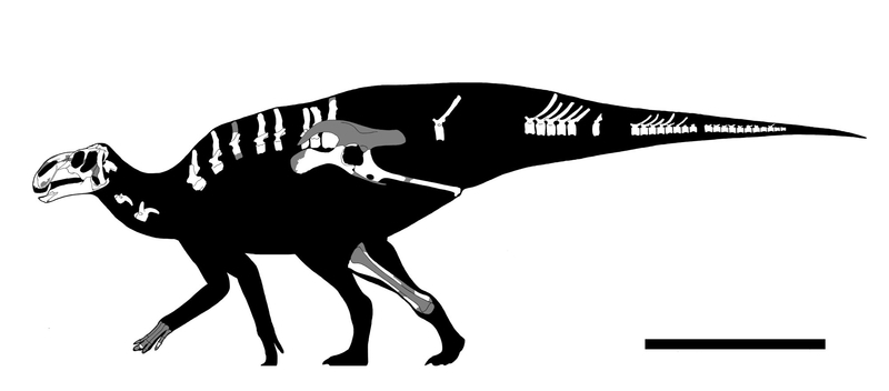 トラコドンふたたび - GET AWAY TRIKE