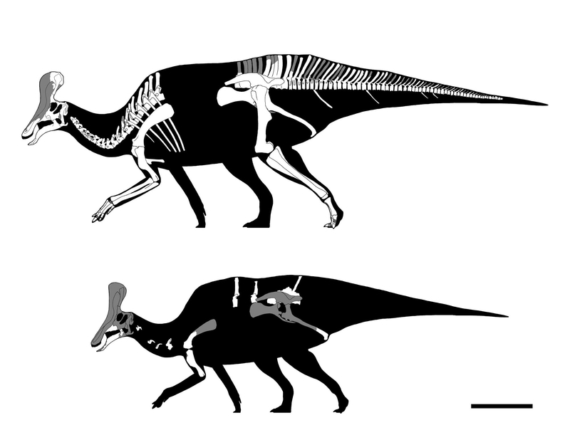 可能性の獣 - GET AWAY TRIKE