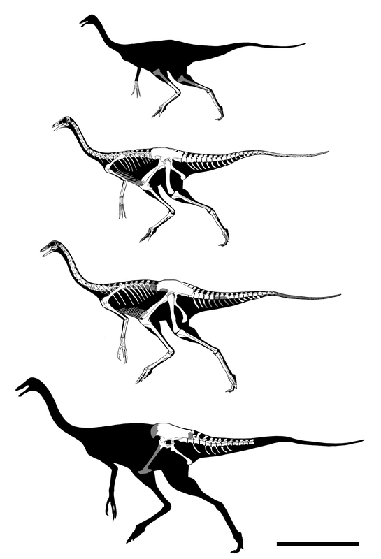 「もどき」の系譜 - GET AWAY TRIKE