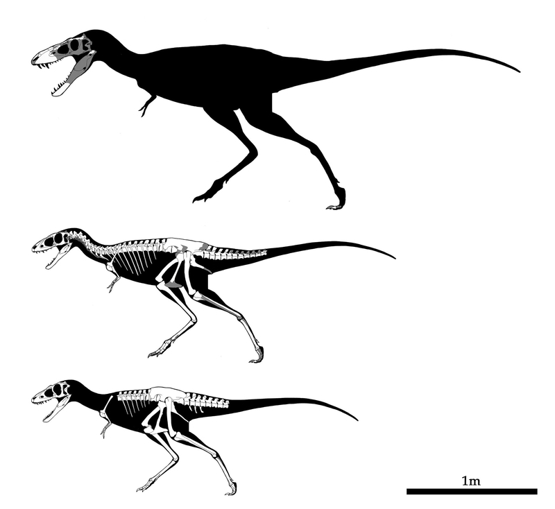 ティラノサウルスの幼体 - GET AWAY TRIKE