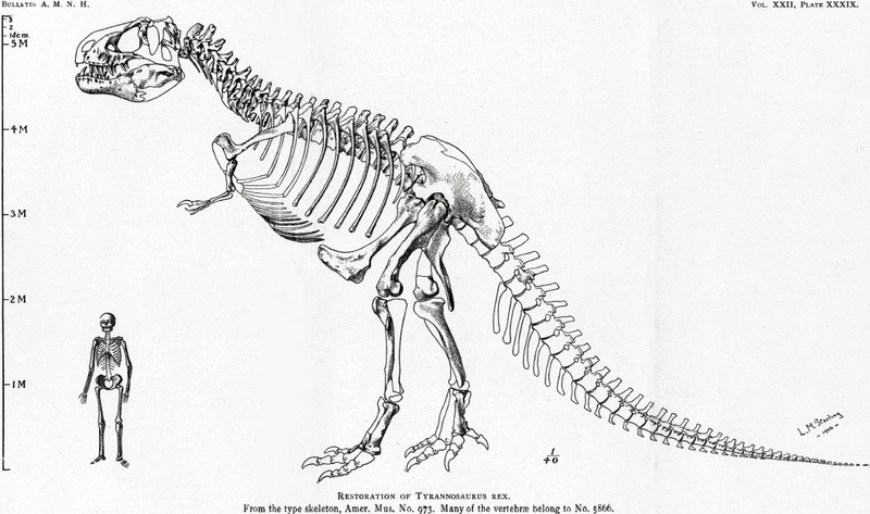 暴君王の遍歴（前編） - GET AWAY TRIKE