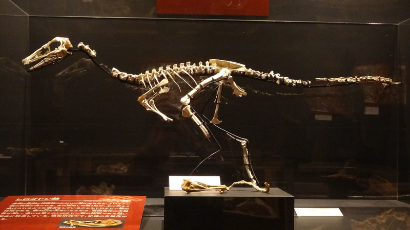 ゴビヴェナトル・モンゴリエンシス - GET AWAY TRIKE