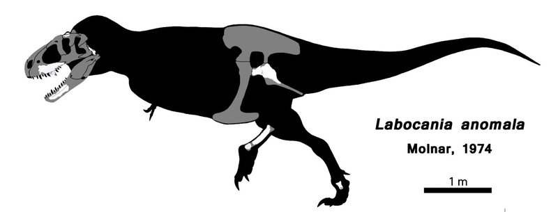 ラボカニア記載40周年（棒） - GET AWAY TRIKE