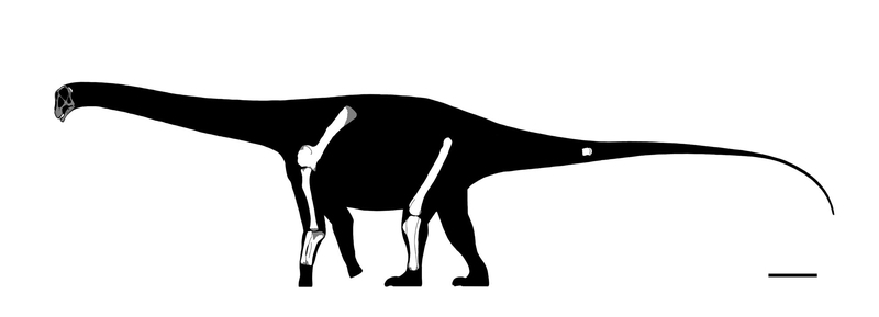 ジャイノサウルス - GET AWAY TRIKE