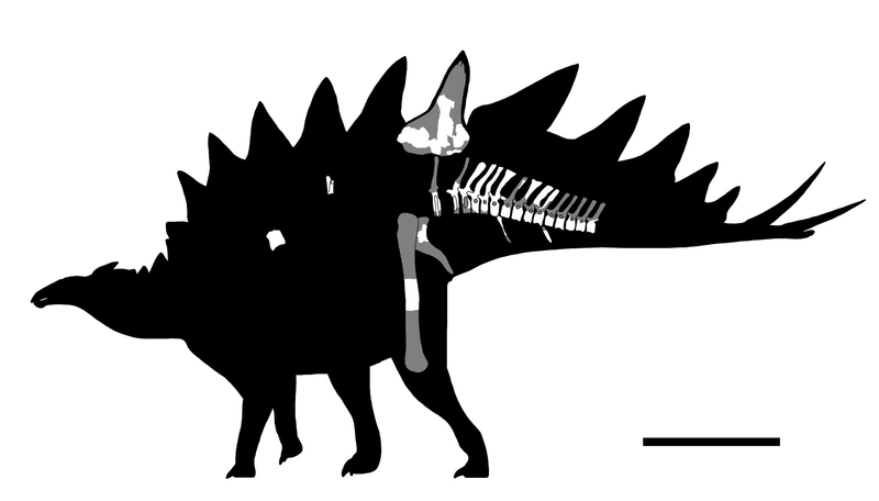 赤い屋根の大きなお家 - GET AWAY TRIKE