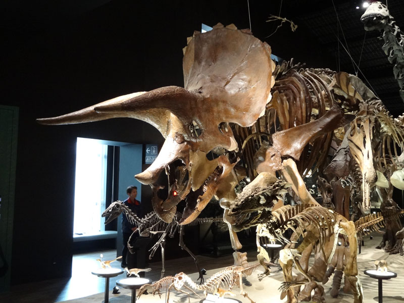 西へ・・・。特別編 - GET AWAY TRIKE