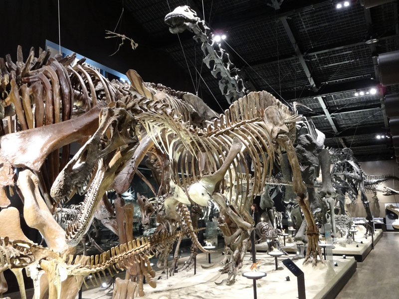 西へ・・・。特別編 - GET AWAY TRIKE