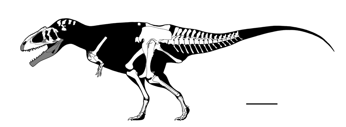 鮫歯の竜の国 - GET AWAY TRIKE