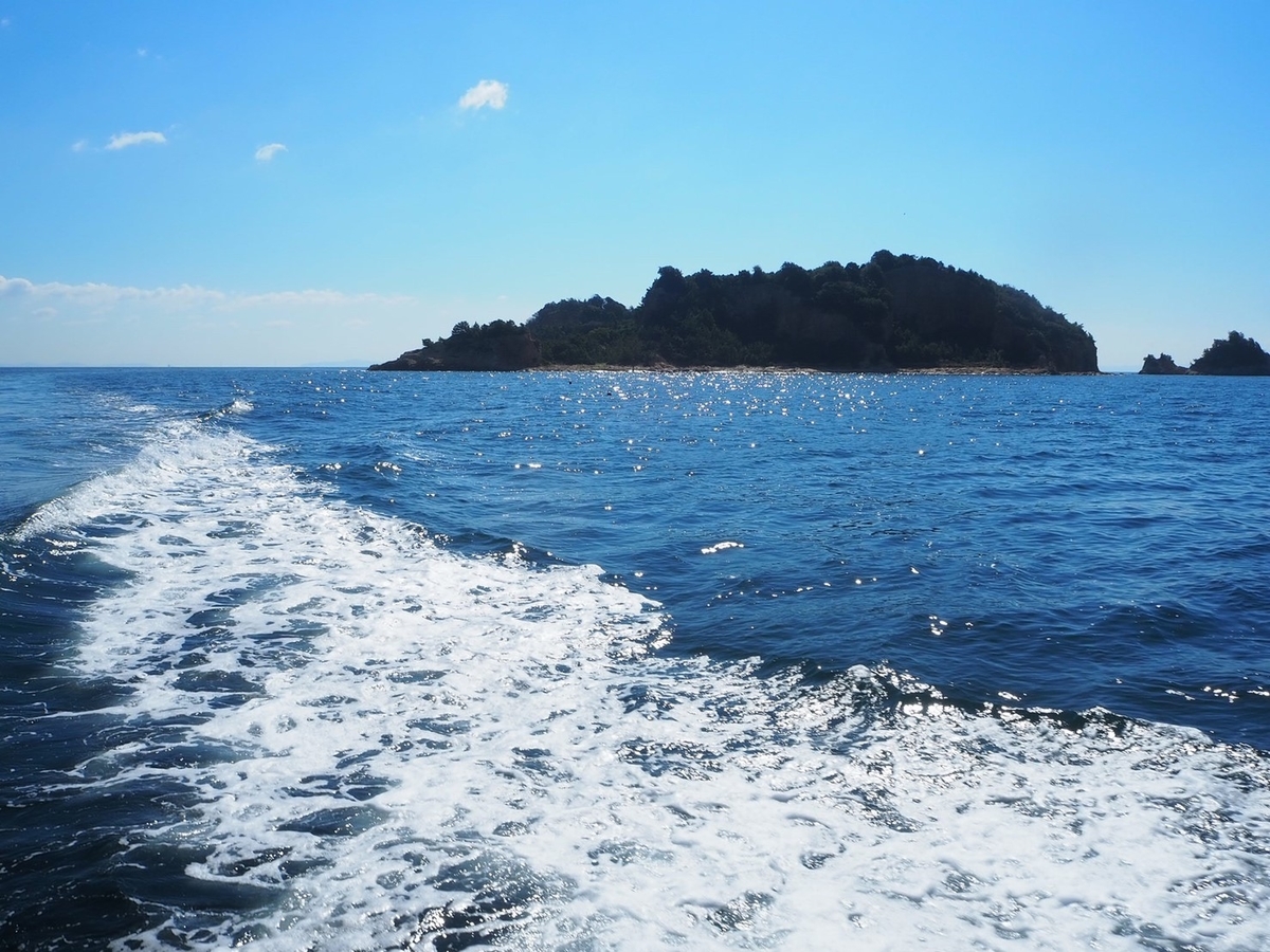 MUJINTO PROJECT 2019 in summer - RIKURU BLOG