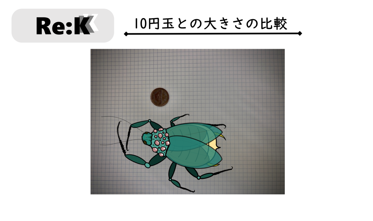 【寿命20万年】センネンマンネンゴキブリの生命力に迫る - りけいのり