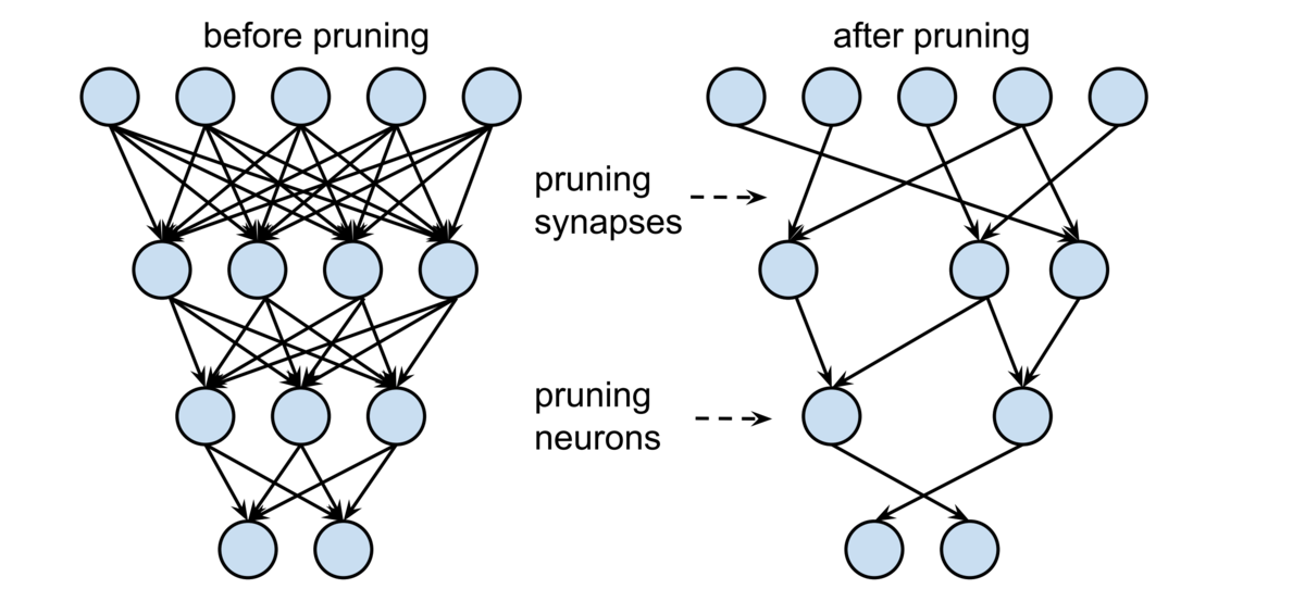ニューラルネットワークのPruningの最新動向について - Ridge-institute R&D Blog