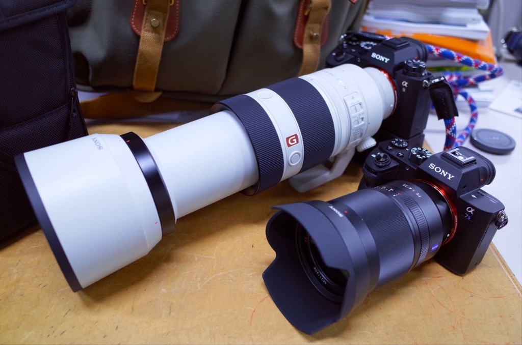 SONY α9 SEL100400GM （FE4.5-5.6/100-400 GM OSS） 無音は確かに良し - 一日一写
