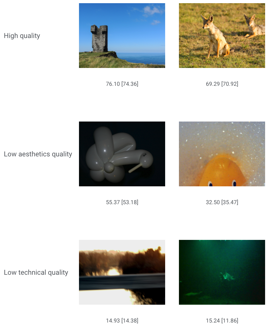 Googleの画像品質評価MUSIQの話 - ABEJA Tech Blog