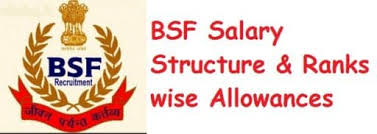 BSF Payslip 2020 | BSF Jawan, Constable| SI Pay in Hand | After 7th Pay ...