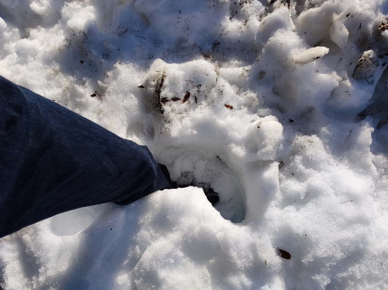【旅行】Sabosanの福井漫遊記 その3[2日目]／天空の城 越前大野城から眺める雄大な雪山に圧倒される - 企業法務担当者のビジネスキャリア術